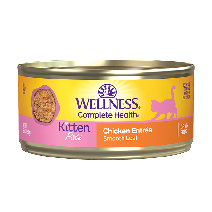 Wellness Complete Health Pate Kitten Chicken Entree Canned Cat Food 3oz ...