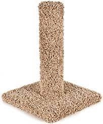 Ware Kitty Cactus 18 Inch - Noah's Ark