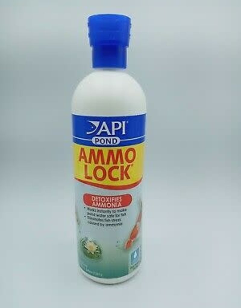 API API Pondcare Ammo-Lock Ammonia Detoxifier - Noah's Ark