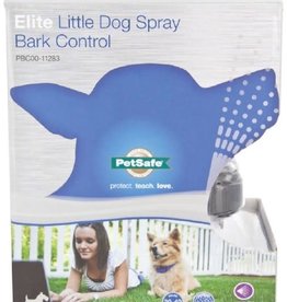 Training - Noah's Ark