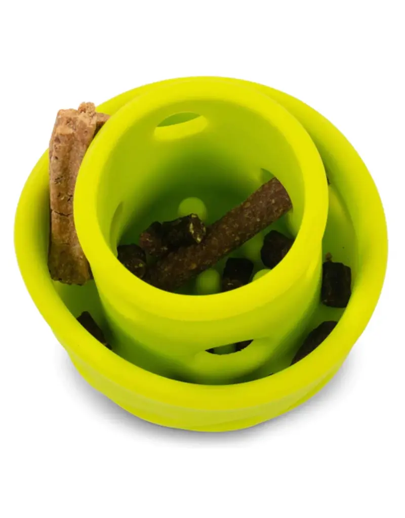 Messy Mutts Totally Pooched Puzzle N Play Mushroom Dog Enrichment Toy ...