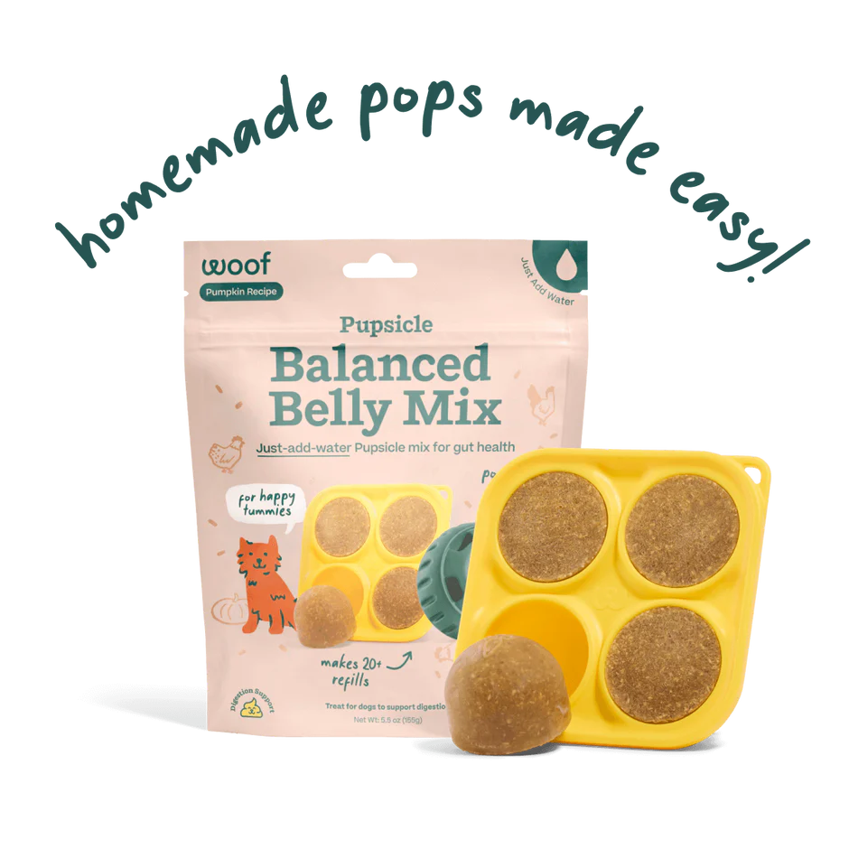 Woof! Dog Popsicle Balanced Belly 5.5 Oz - Noah's Ark
