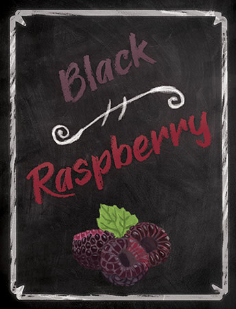 Black Raspberry Wine Labels 30ct - 3rd Horse Craft Beverage Supply