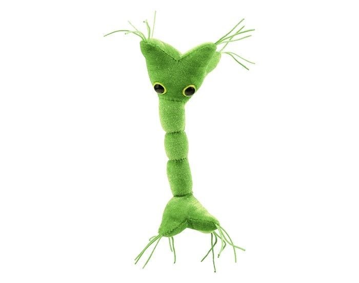 Nerve Cell (Neuron) Educational Plush - Ziya Blue