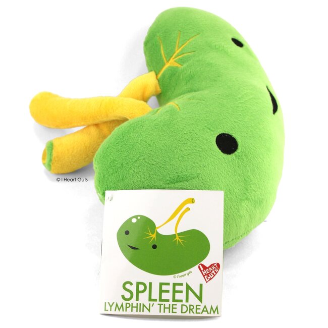 I Heart Guts Spleen Plush- Lymphin' the Dream - Ziya Blue