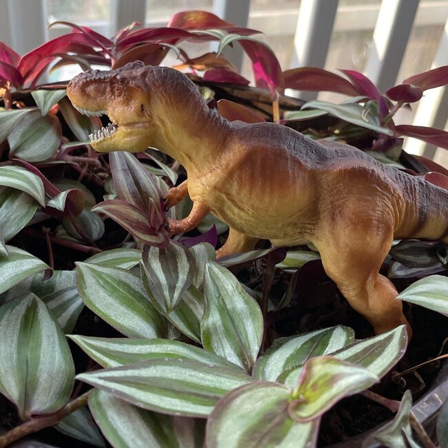 Safari Ltd T-Rex (Brown) - Ziya Blue