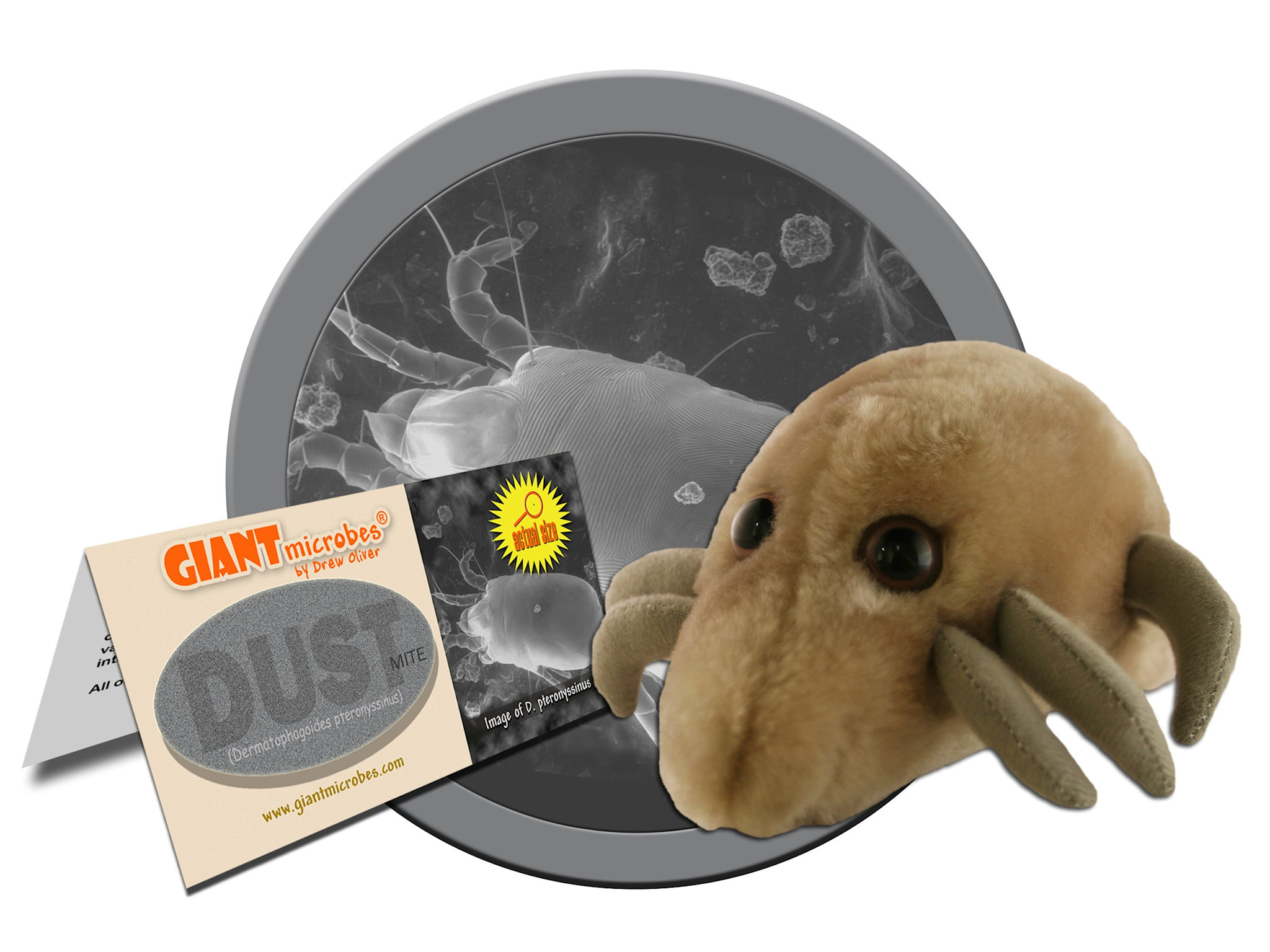Giant Microbes Dust Mite Educational Plush - Ziya Blue