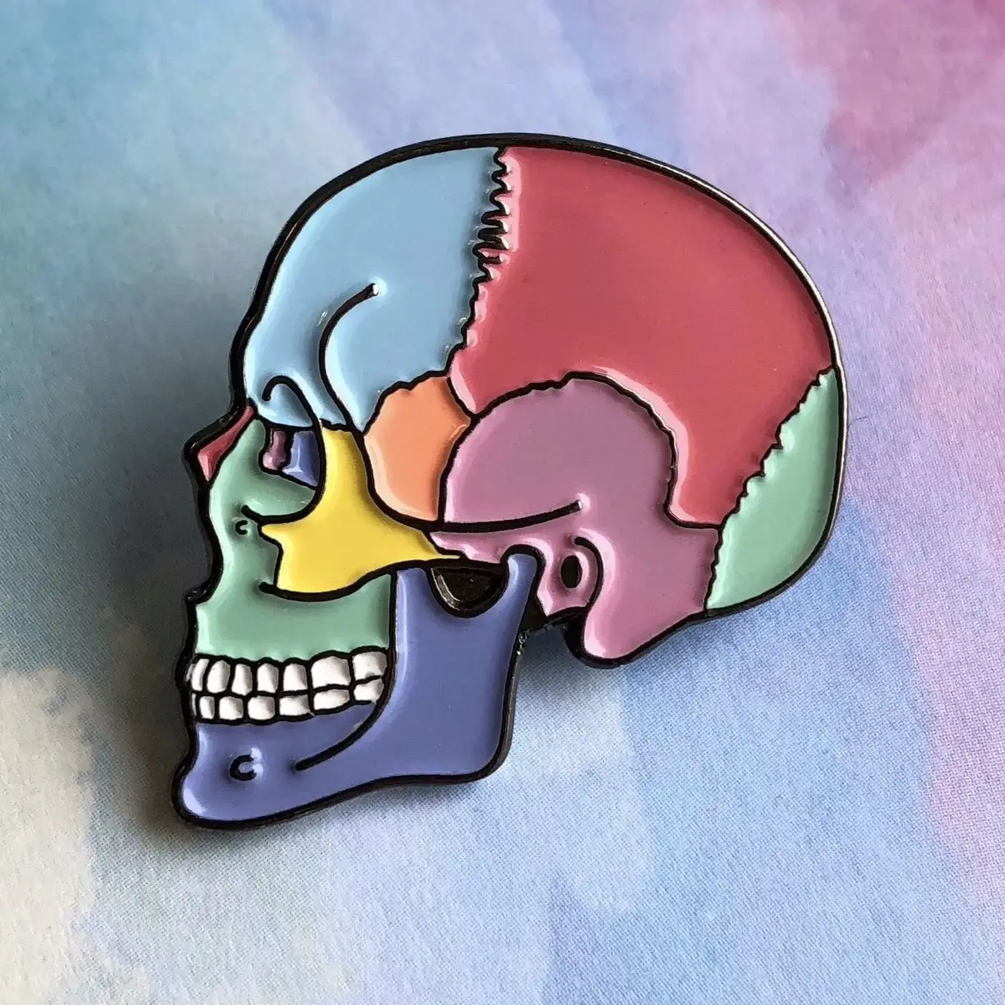 Textbook Anatomy Skull Pin - Ziya Blue