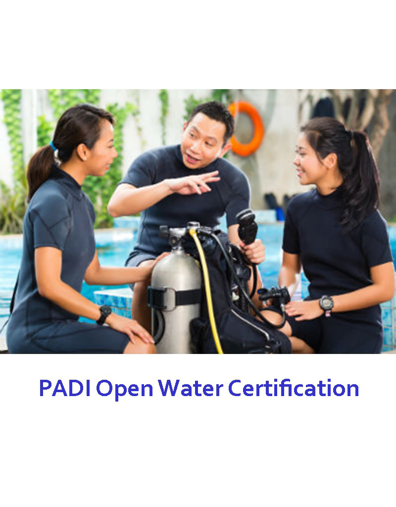 PADI E-Learning Open Water Certification (group course) - OCEANS EXP.