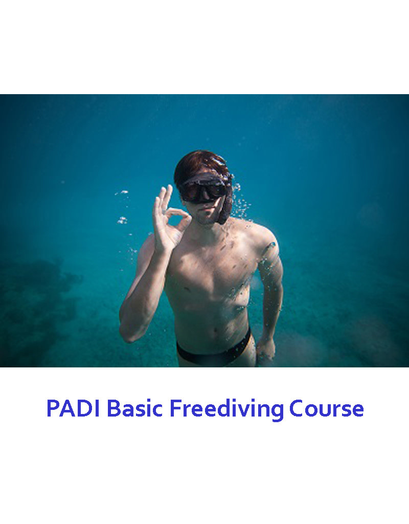 PADI Basic Freediving Course - OCEANS EXP.
