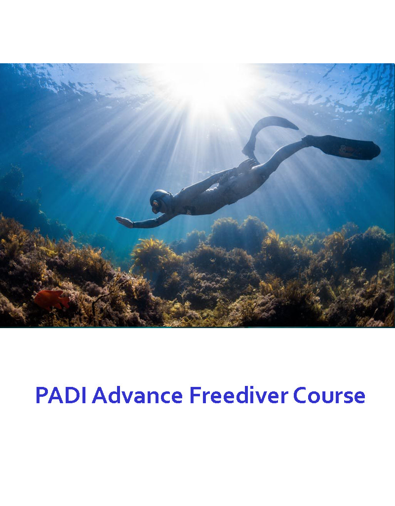 PADI ADVANCE FREEDIVER COURSE - OCEANS EXP.