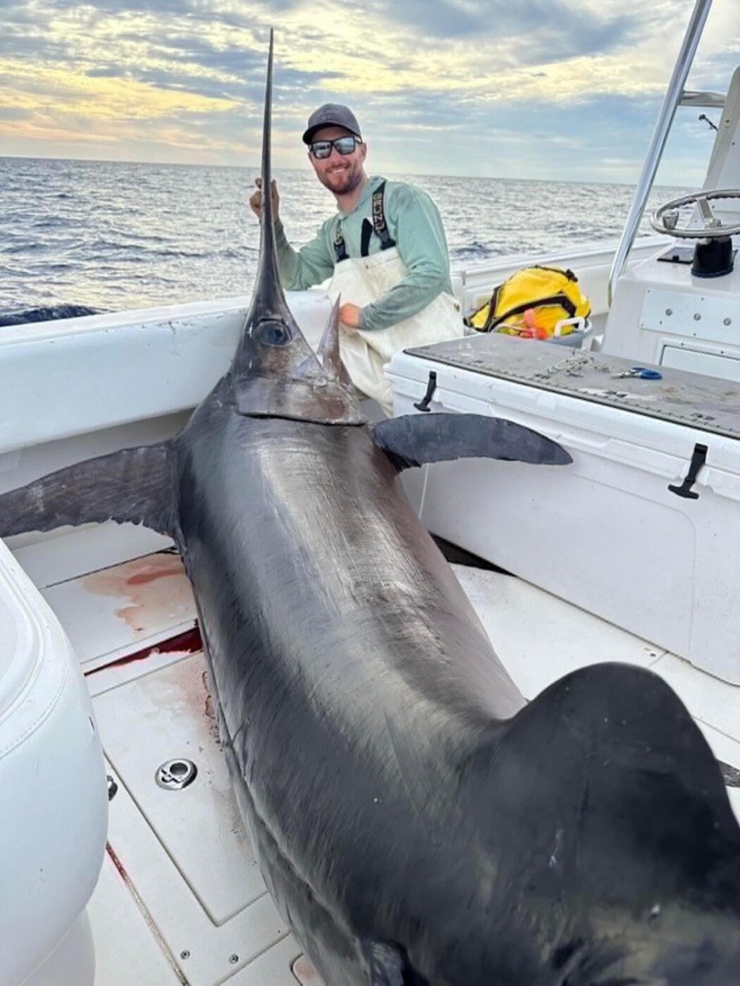 Giant Swordfish Are Being Caught Right Off Lighthouse Point! - RJ Boyle