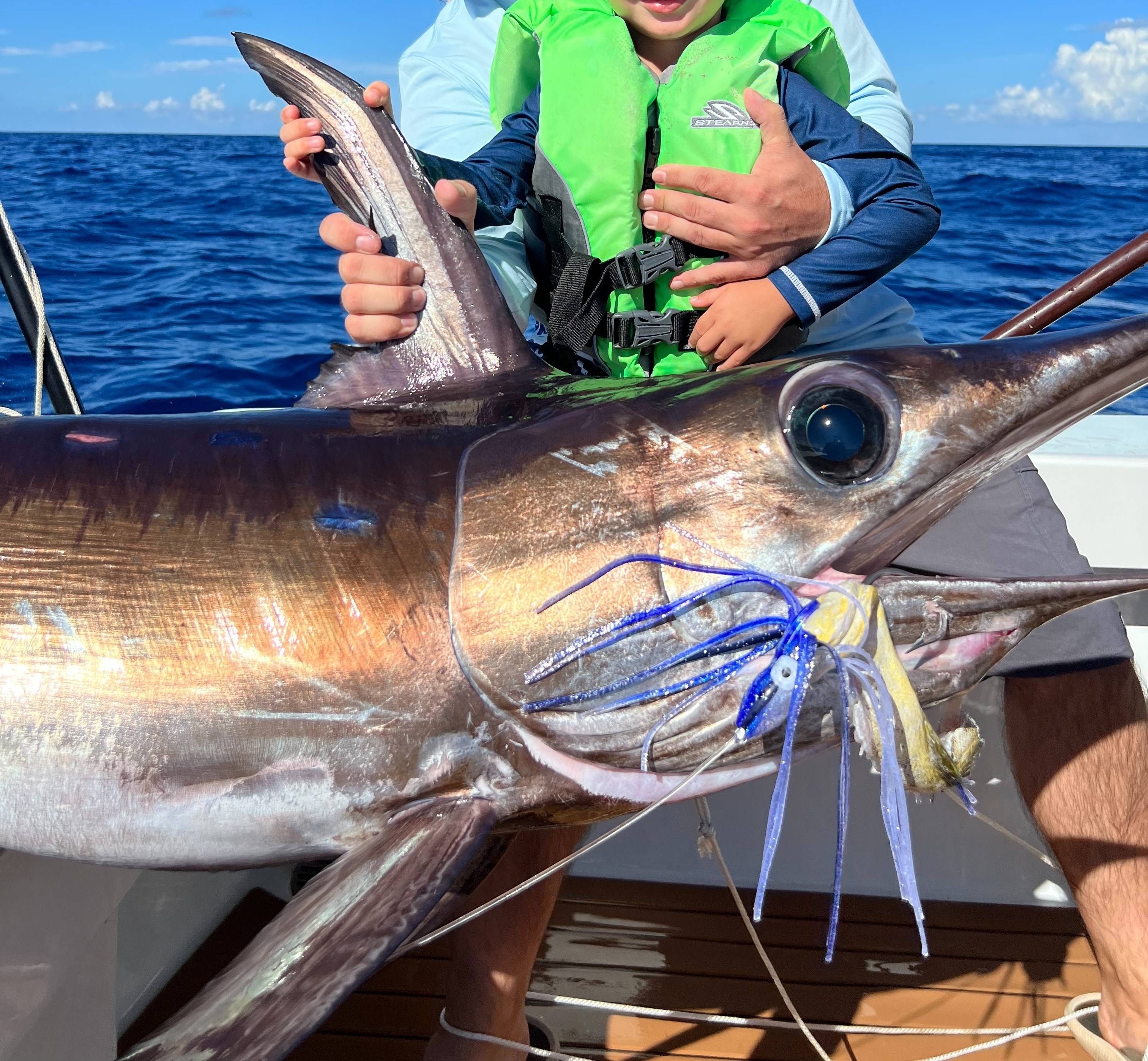 Sun Dot Swordfish Flag - RJ Boyle