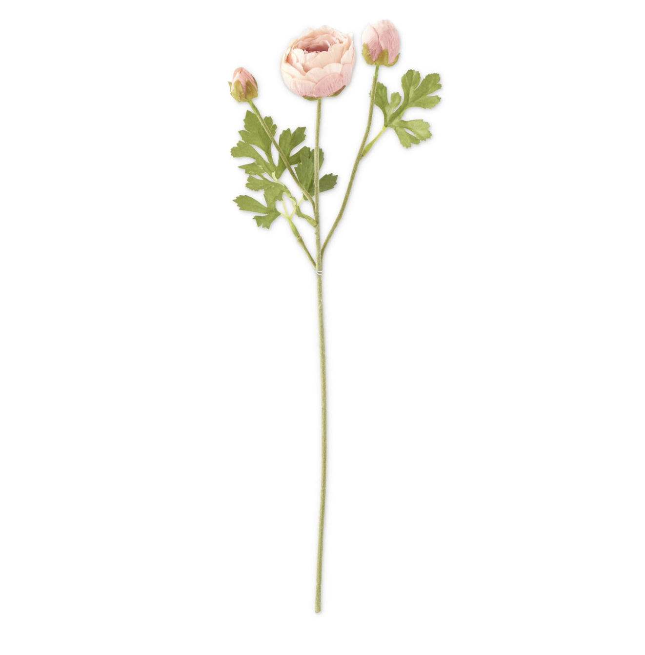 Light Pink 3 Head Real Touch Ranunculus Stem 21” - Neighbors Mercantile ...