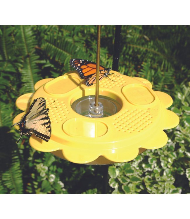 Butterfly Feeder - Bell Farm Shops