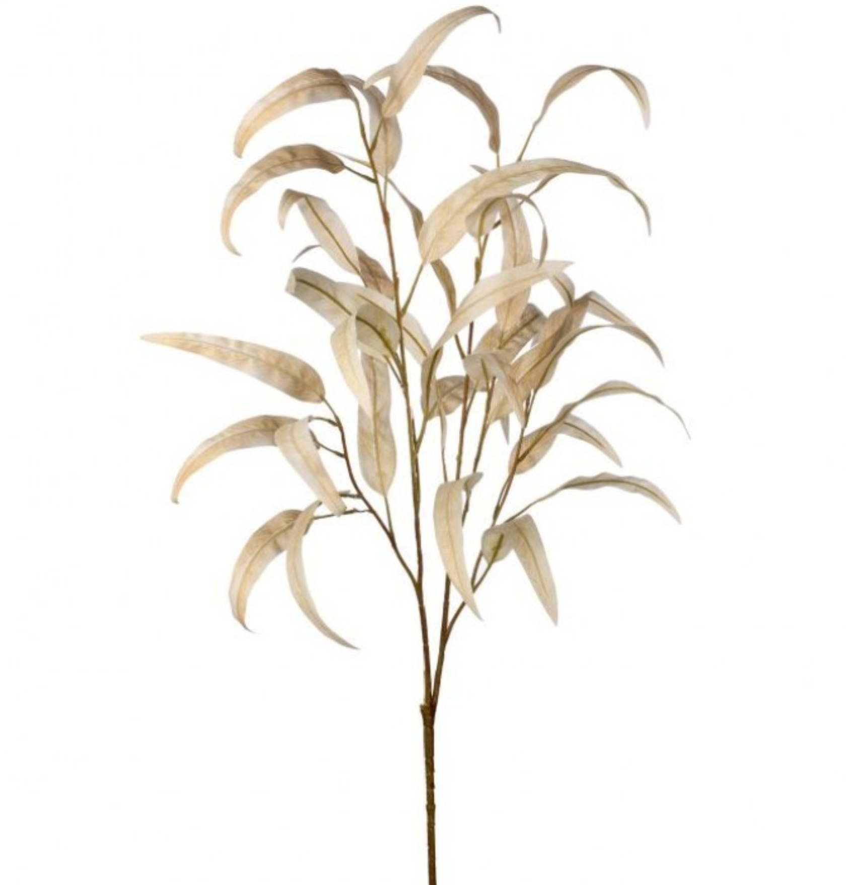 Bleached Long-Leaf Eucalyptus Insert - Mickler & Co. Design Studio