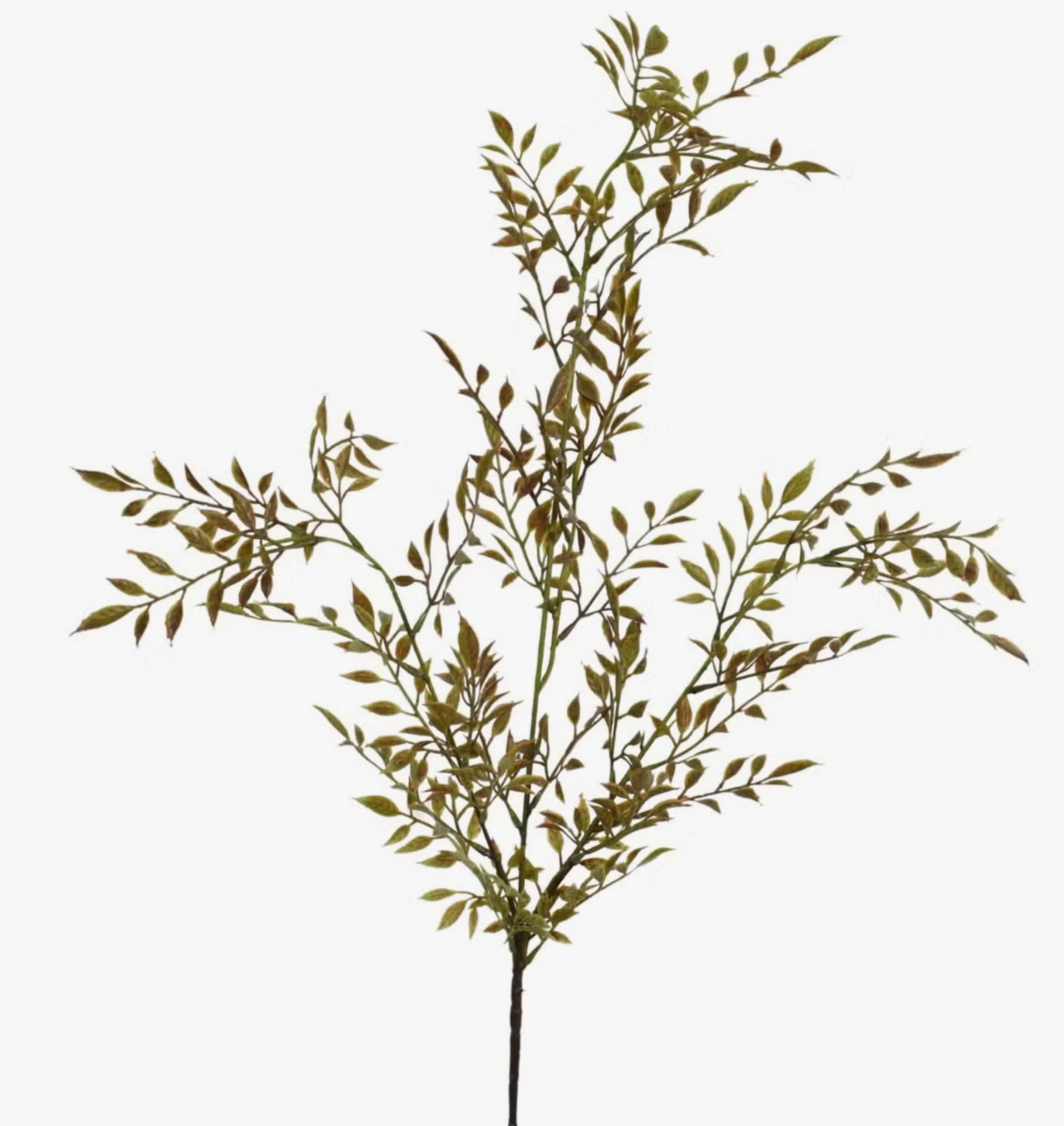 Green Ash Leaf Insert - Mickler & Co. Design Studio