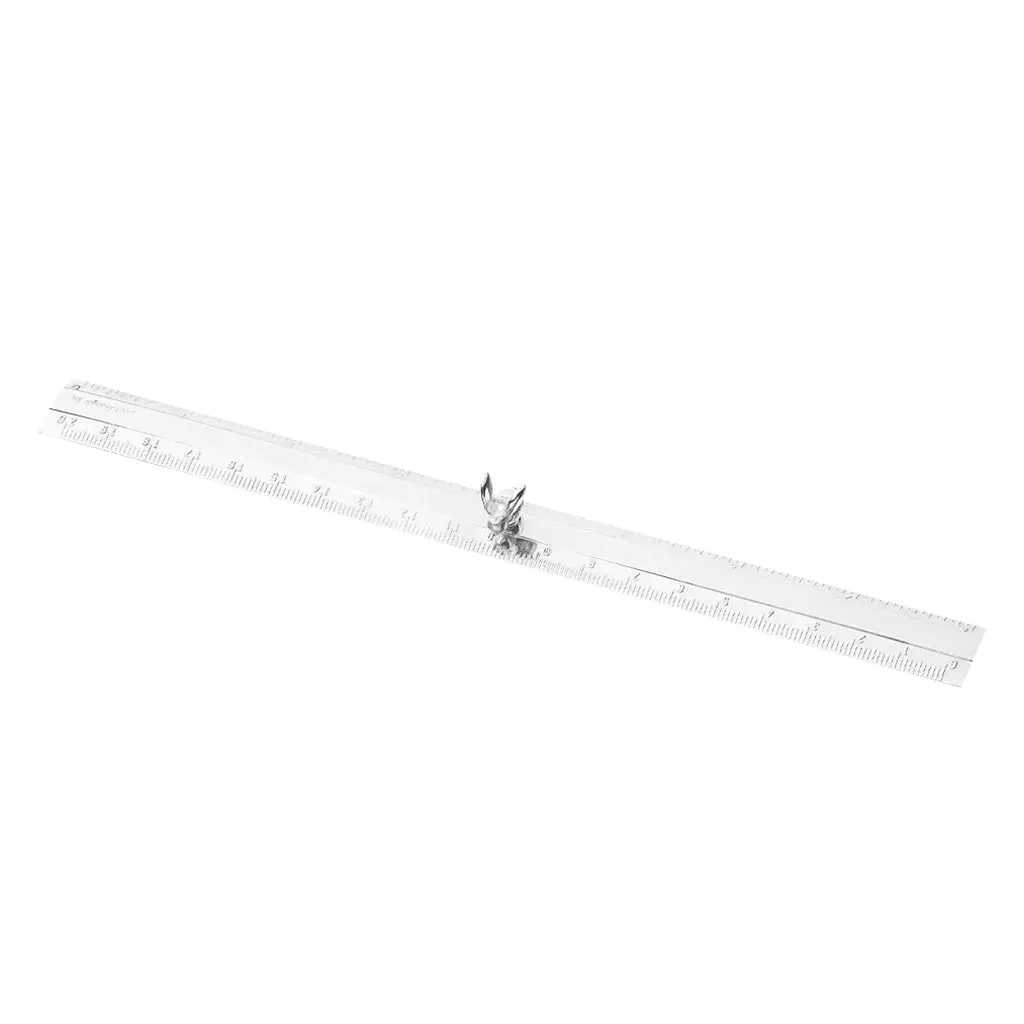 Ruler 20 CM - BeeBee - Blue Leaf Houston