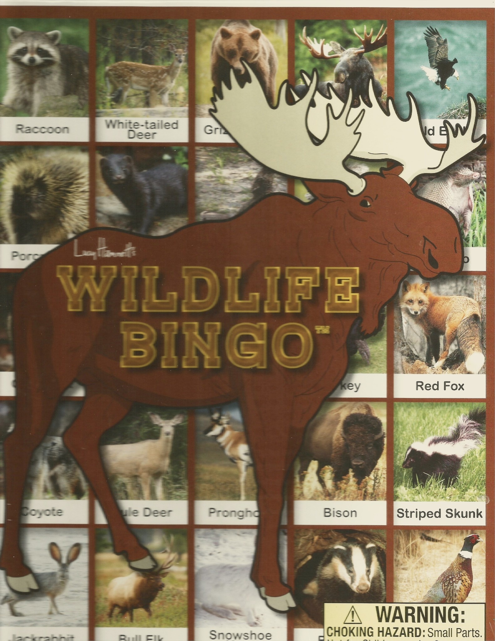 Wildlife Bingo - YGM Shop
