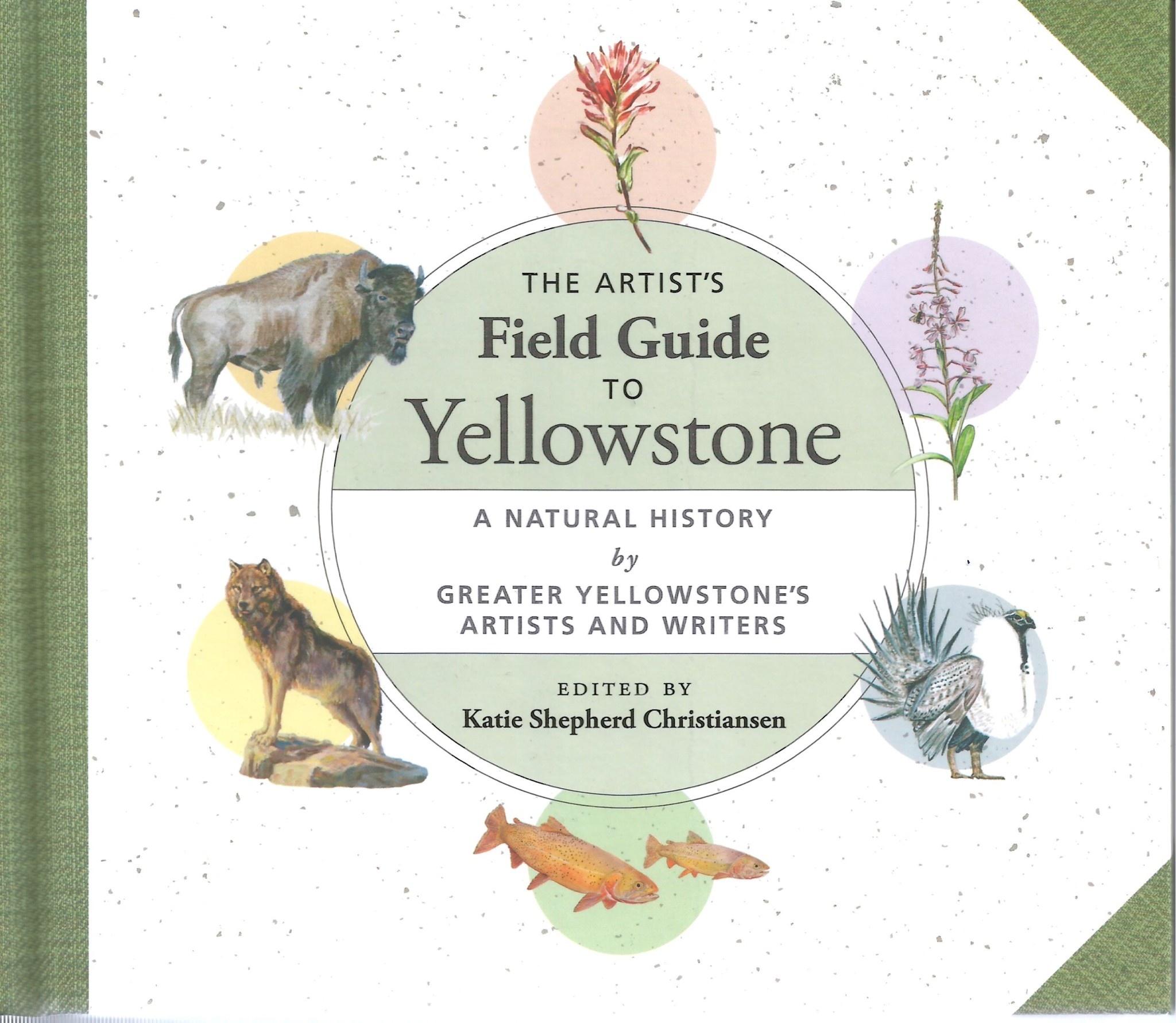 Artists Field Guide to Yellowstone - YGM Shop