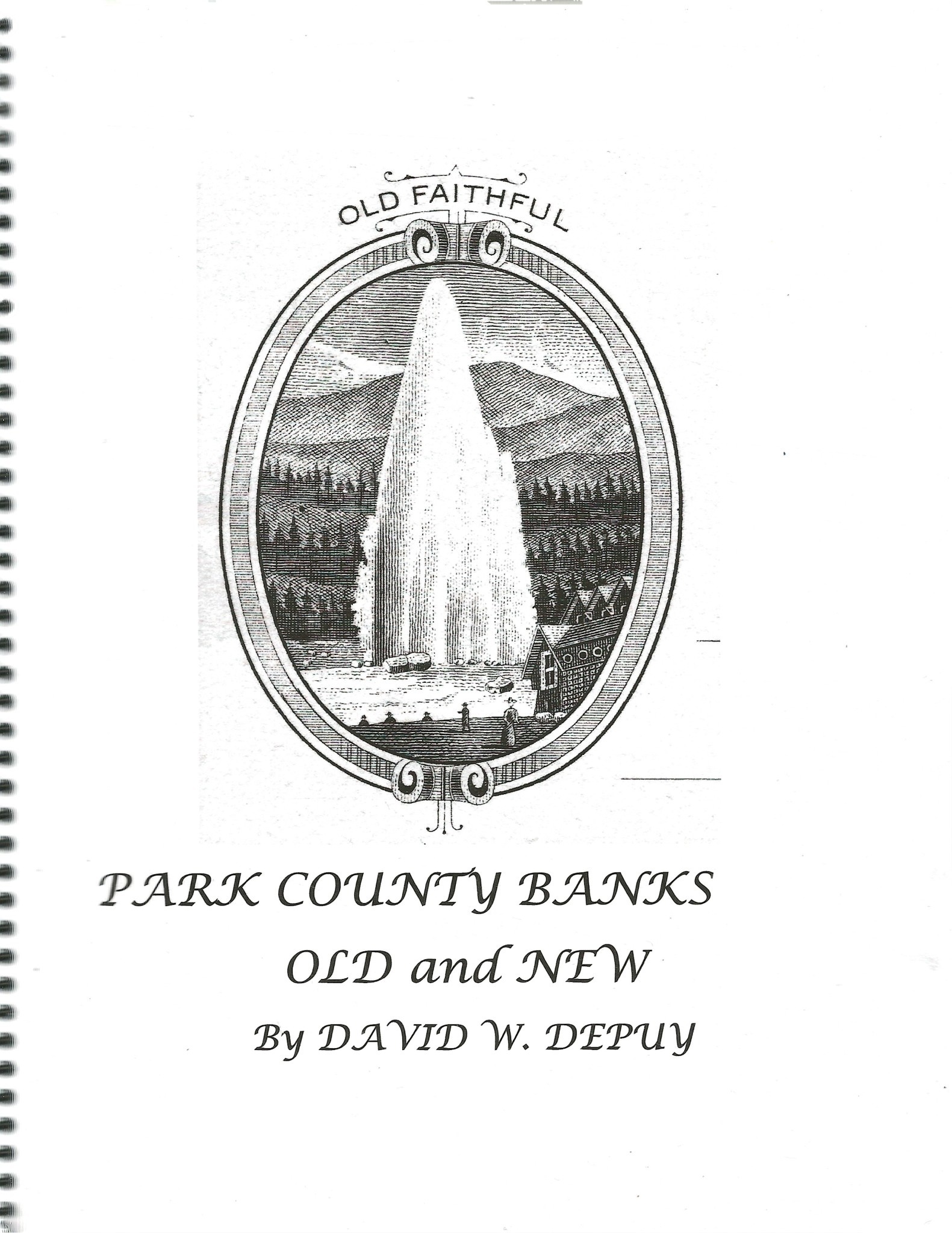 David DePuy DP Park County Banks Old & New - YGM Shop