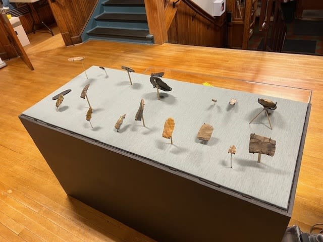 Archaeological Storage & Exhibit Cases - YGM Shop