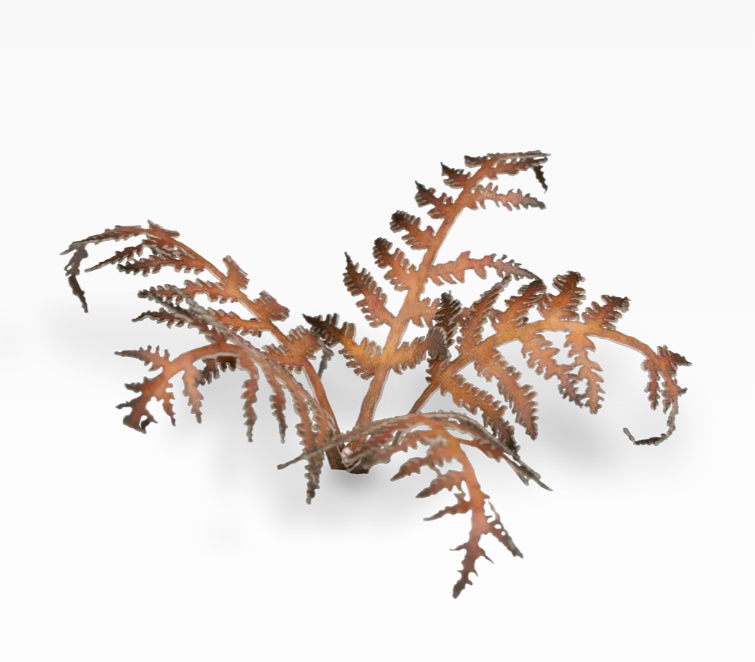 Dry Bracken - Laser Plants - Gamers Grass - La boutique Tabletop