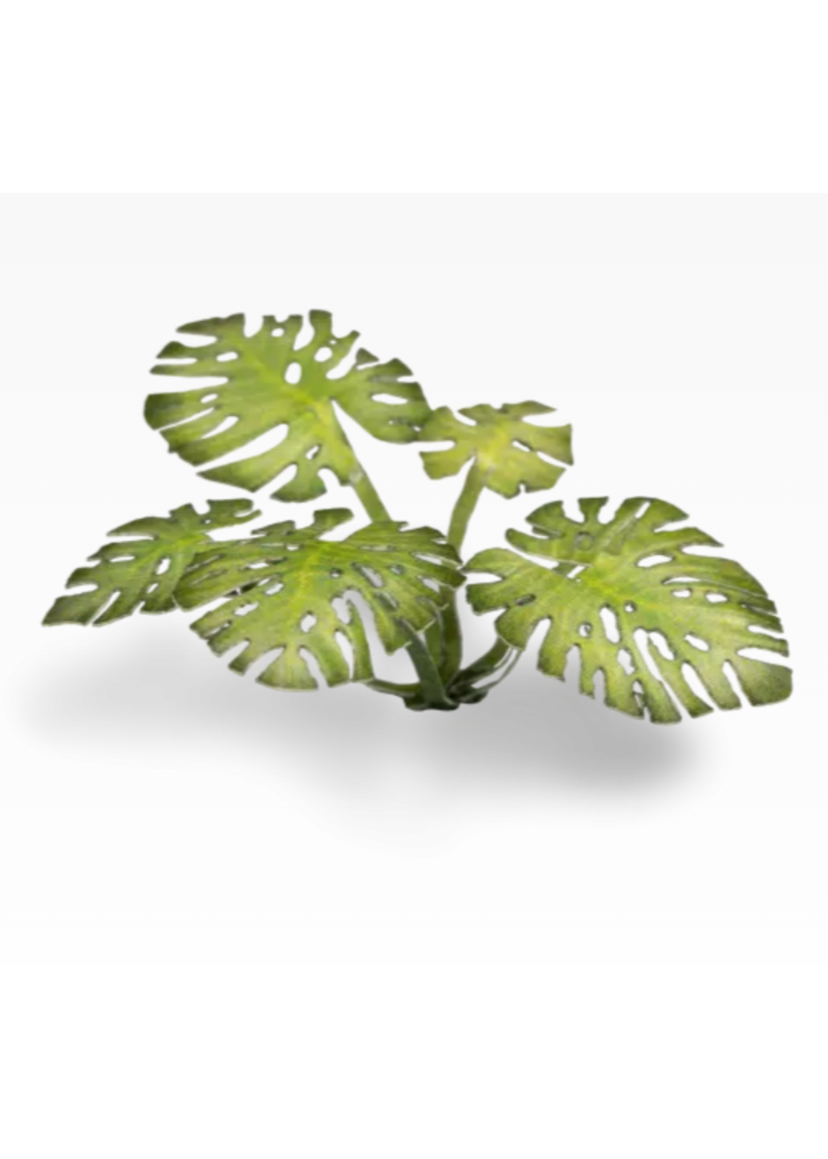 Monstera - Laser Plants - Gamers Grass - La boutique Tabletop
