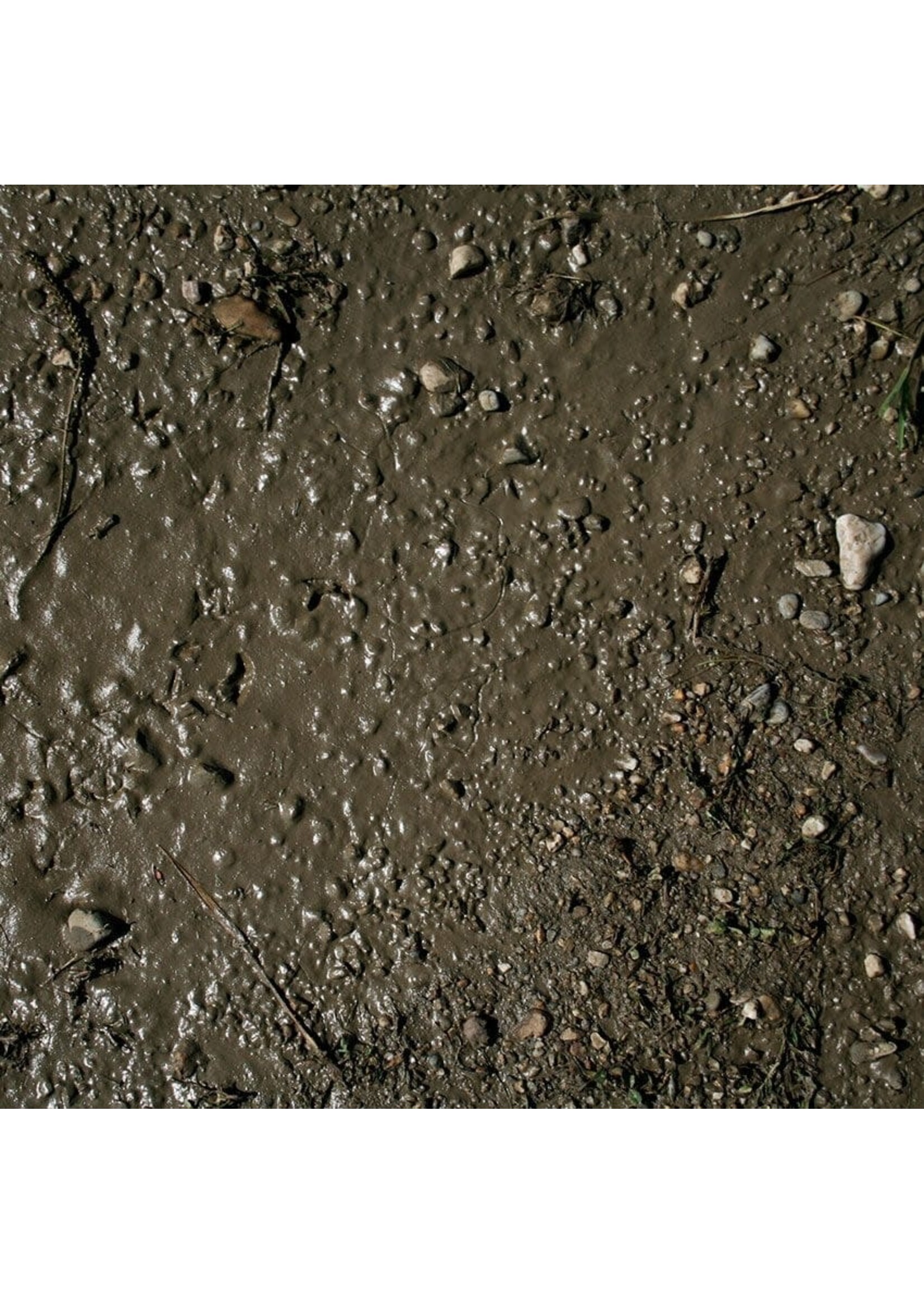 Terrains Wet Grounds 250 ml - AK Interactive - La boutique Tabletop