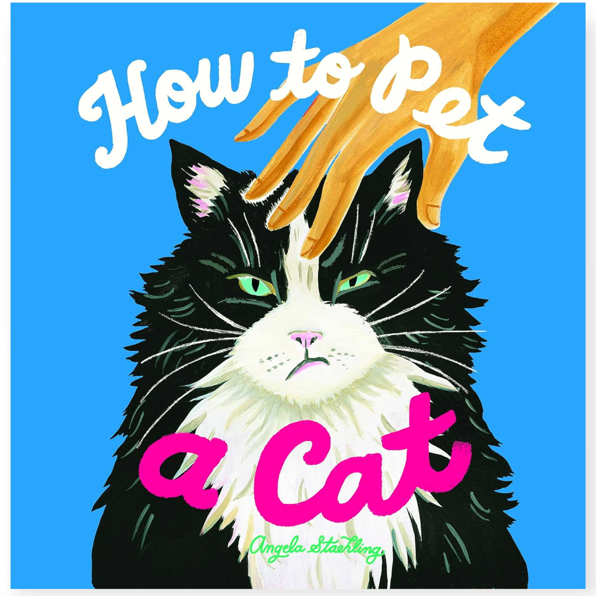 HOW TO PET A CAT - American Folk Art Museum