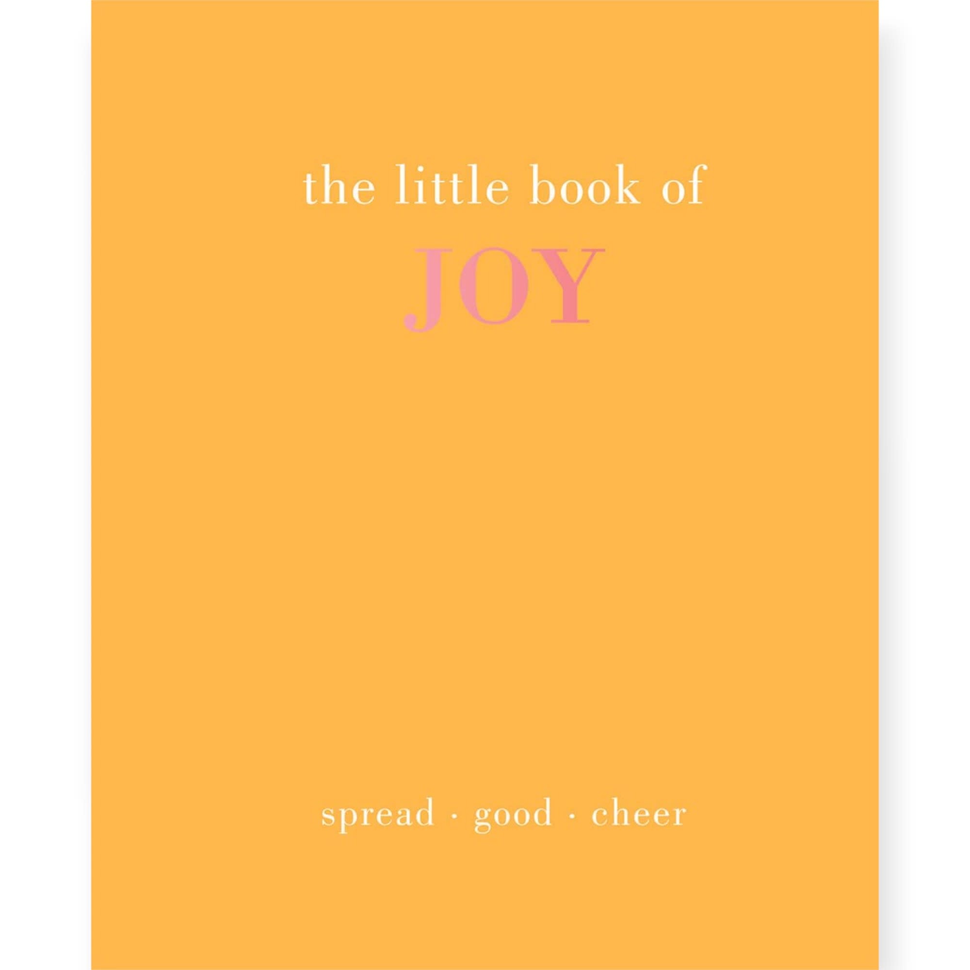 Little Book of Joy - American Folk Art Museum