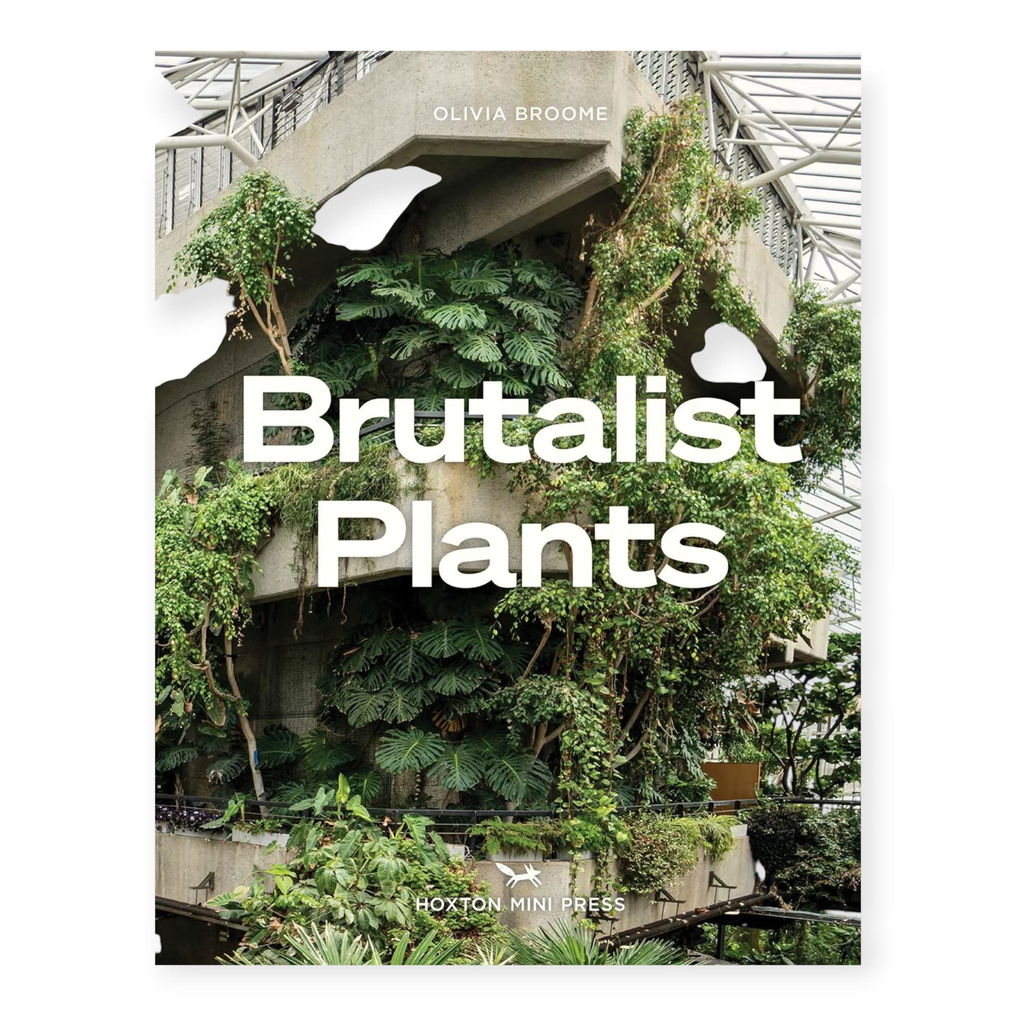 Brutalist Plants - American Folk Art Museum
