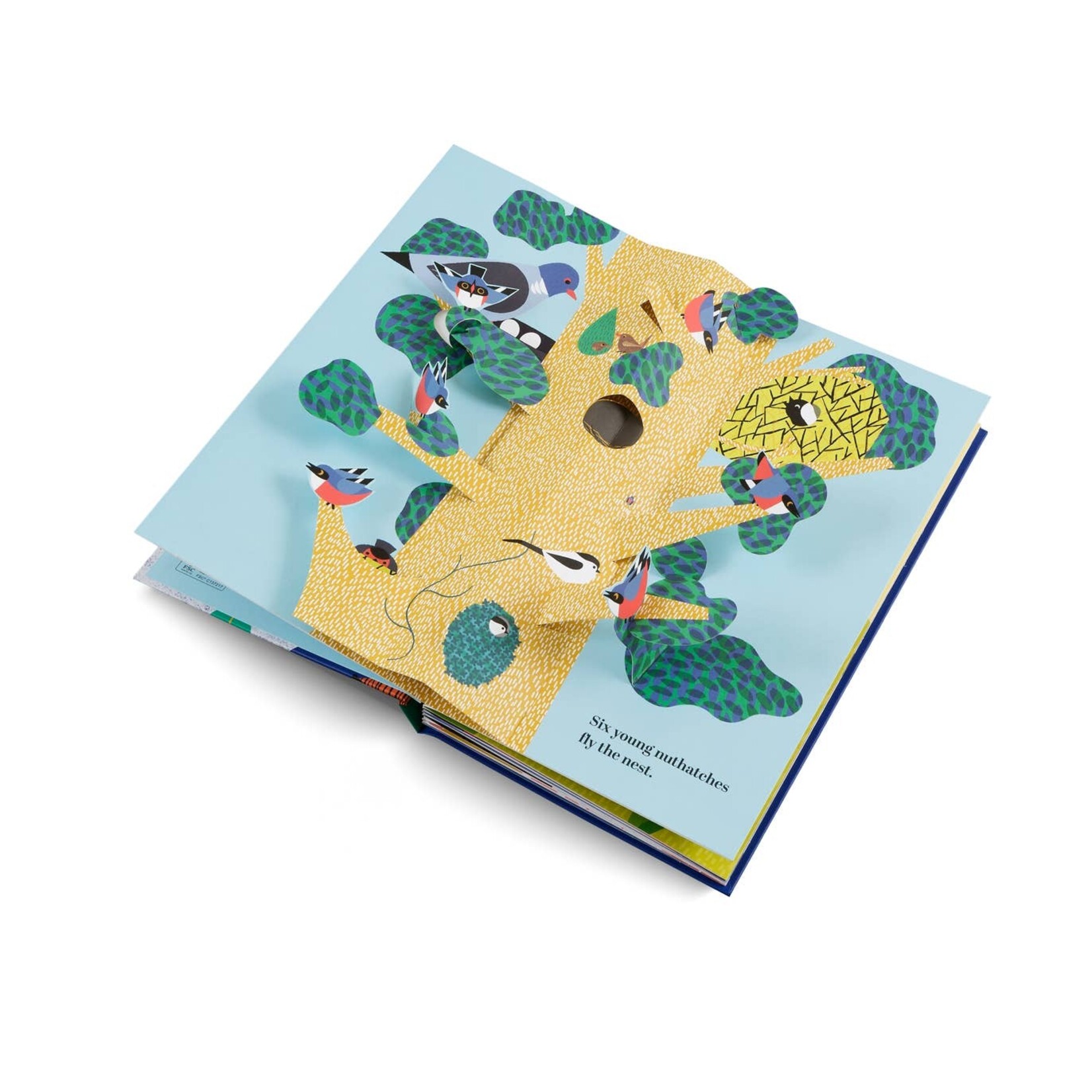 six little birds - george + maeve