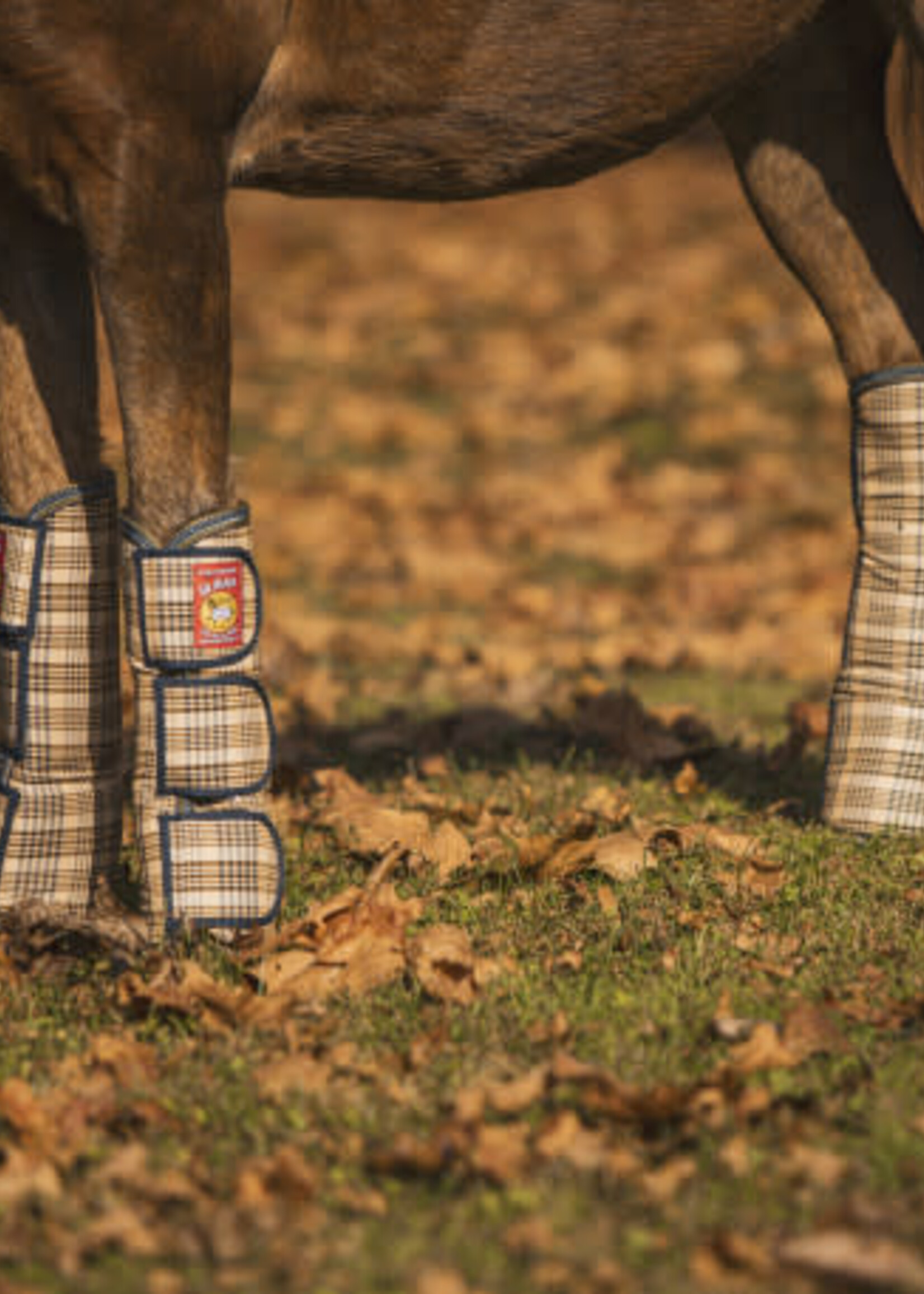 5/A Baker Transport Boots - Equestrian Roots