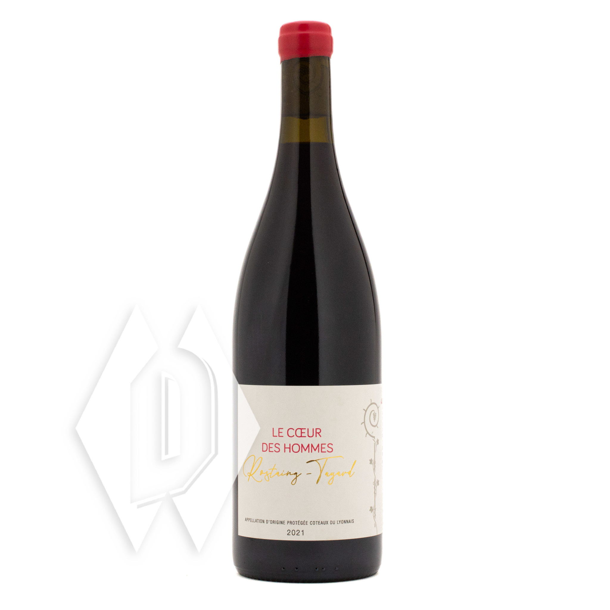 Rostaing Tayard Le Coeur Des Hommes Gamay 2021 750ml - Dabbler Depot