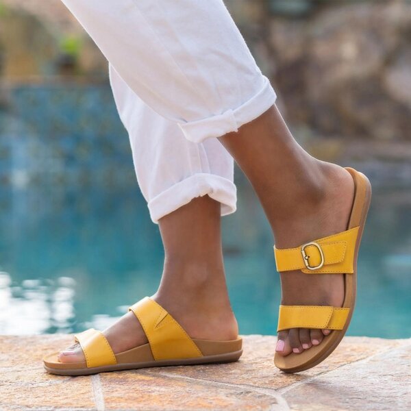 Shippy Shoes - Shippy Shoes