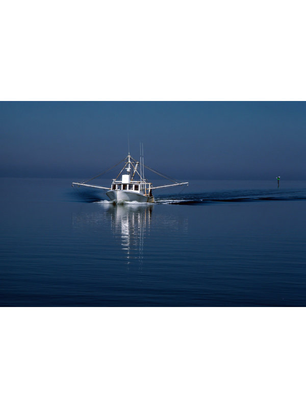 Photography - BlueSkies Art Gallery