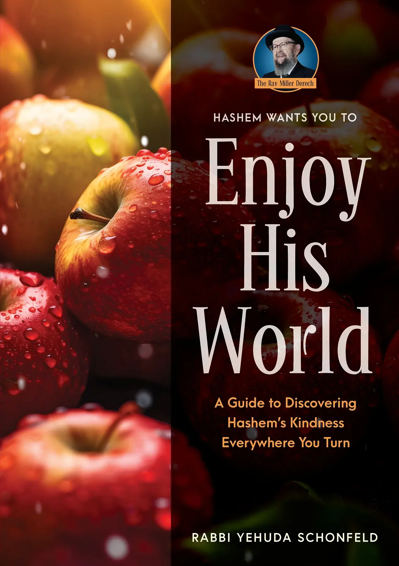 Rabbi Yehudah Schonfeld Enjoy His World - My Sefer