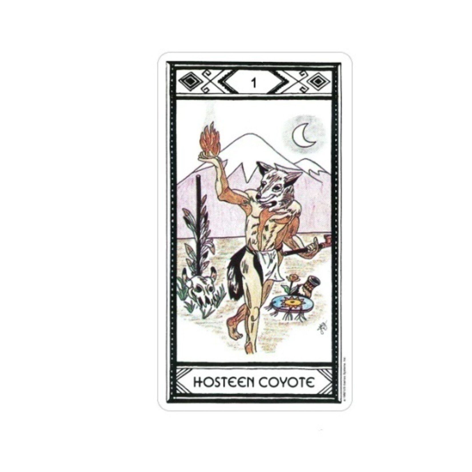 Native American Tarot 78 Card Deck & Book Set - The Energy Within KC ...