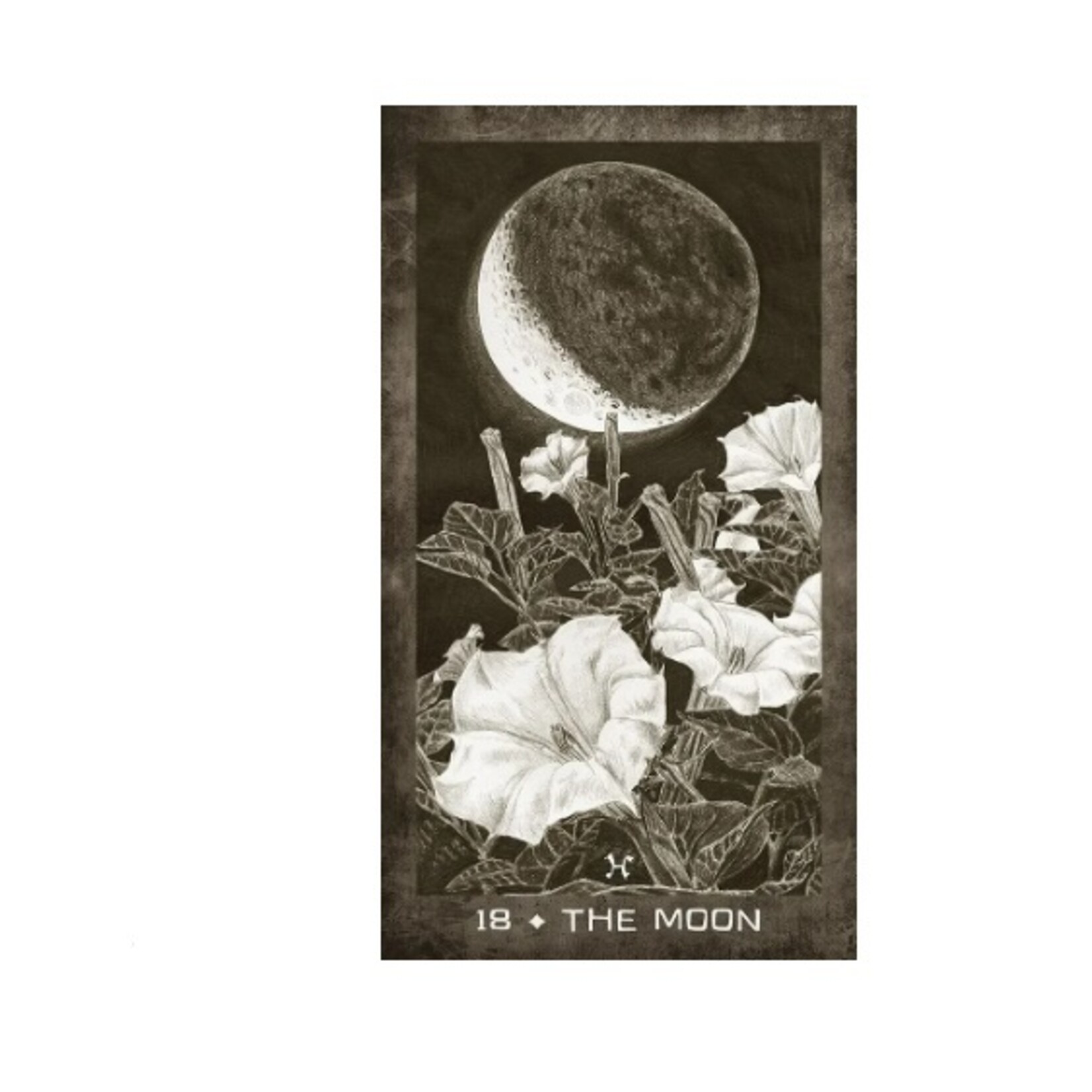 New Era Elements Tarot 78 Card Deck & Book - The Energy Within KC ...