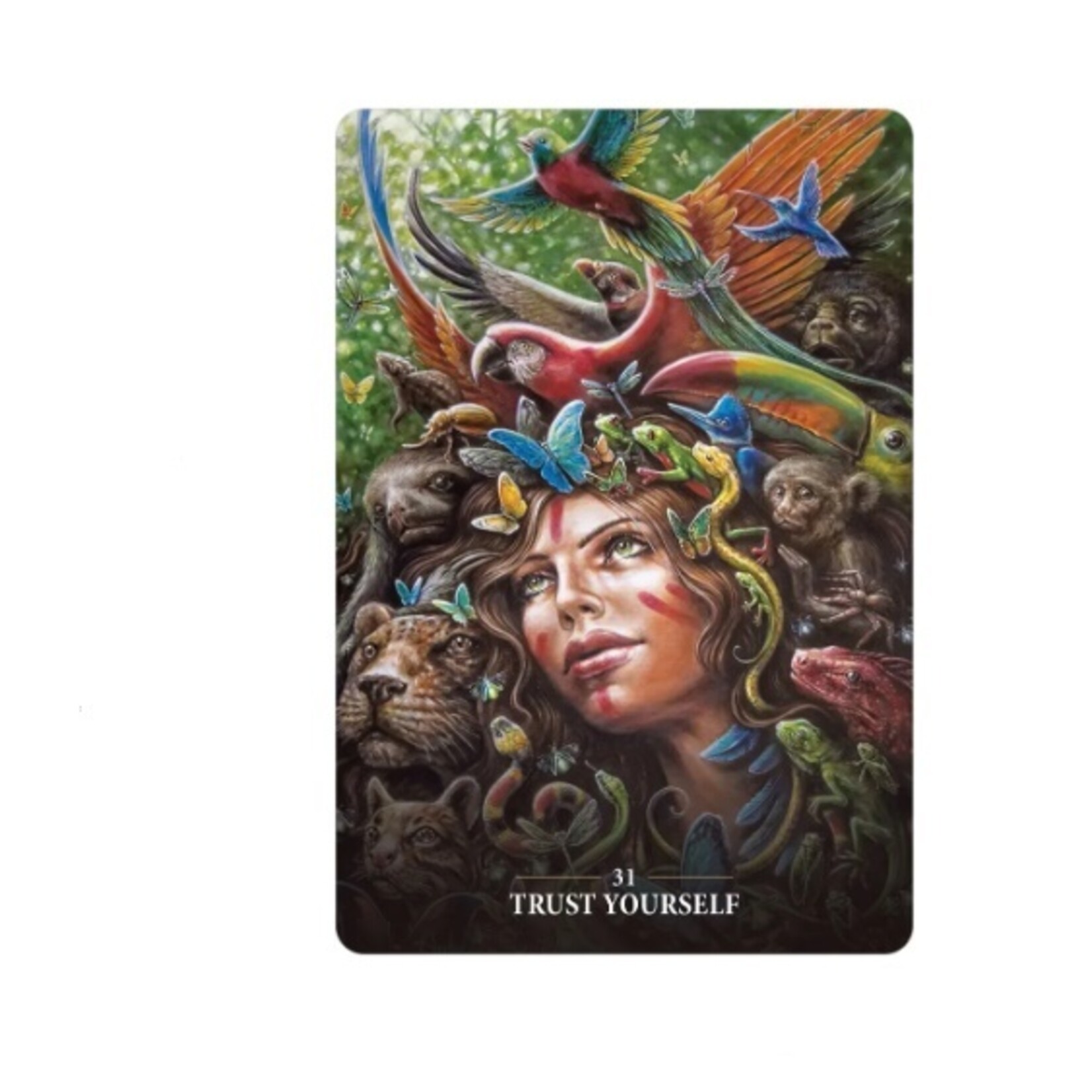 Sacred Rebels Oracle 45 Card Deck & Book Set - The Energy Within KC ...