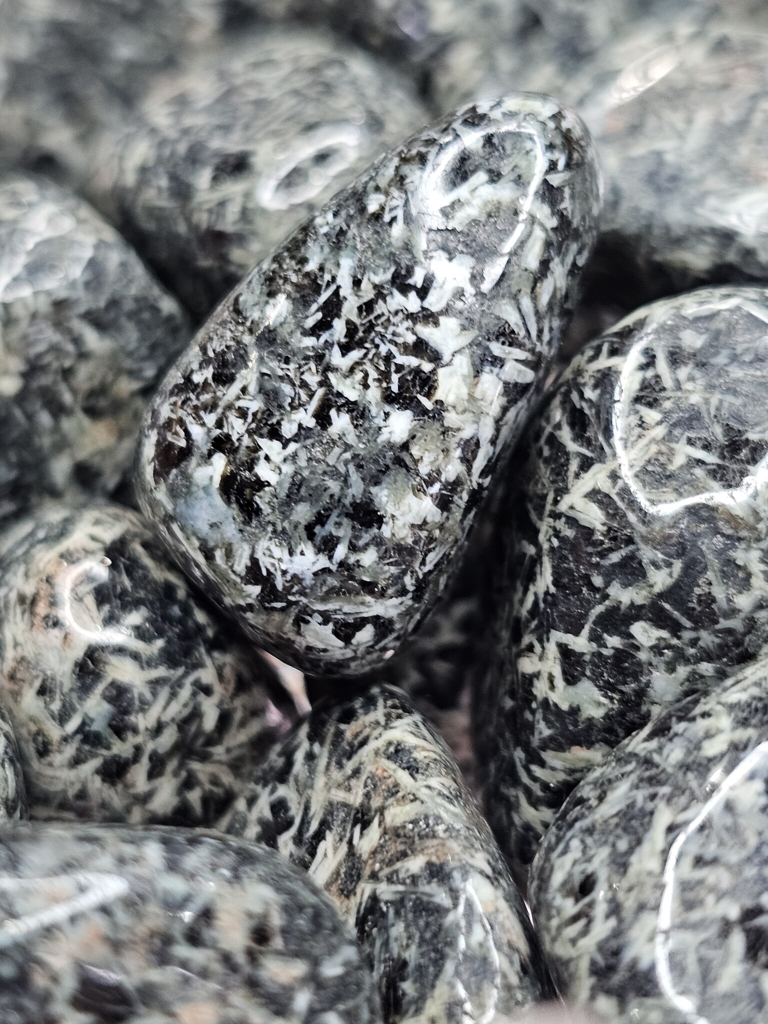 Christmas Flower Jasper Tumbled - Energy Within Crystals