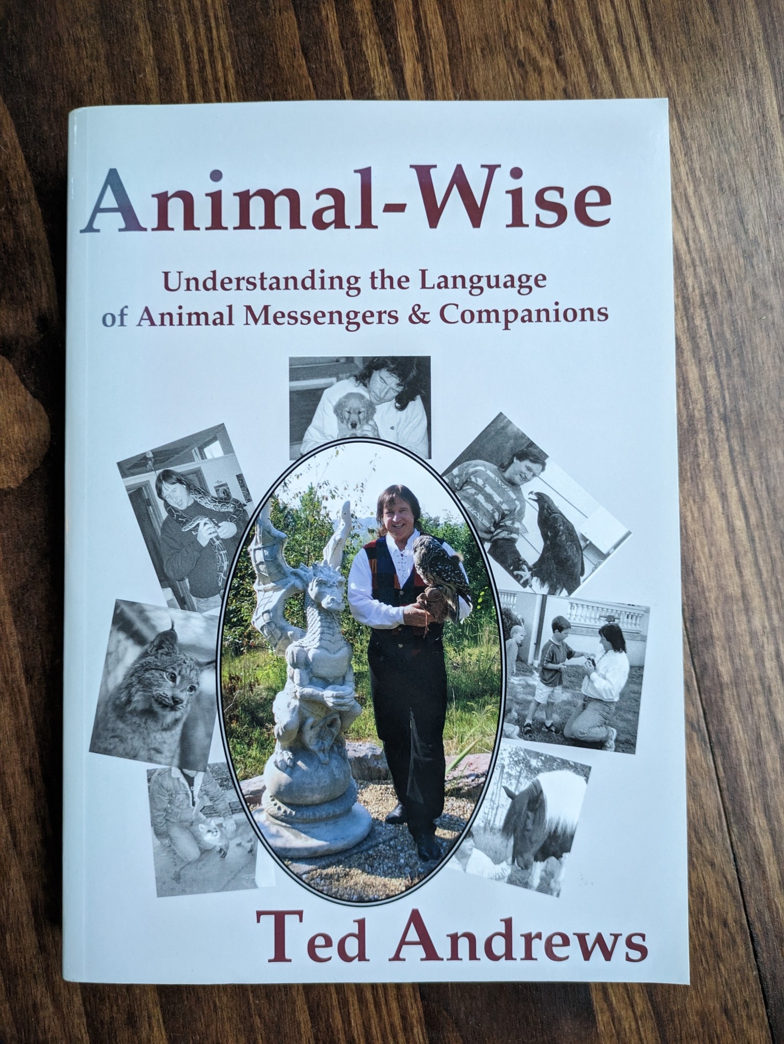 Animal-Wise by Ted Andrews - Elsewhere Apothecary and Bookstore