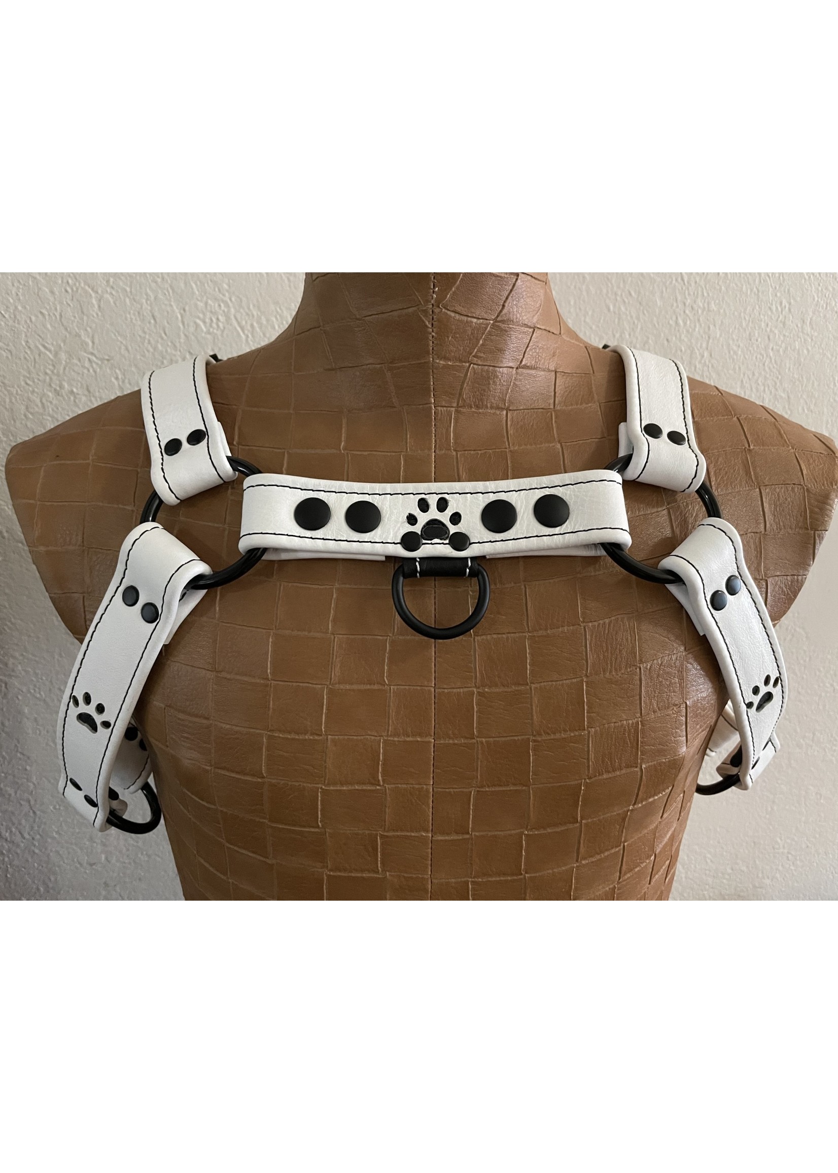 Custom Leather Harness - Neesh LLC
