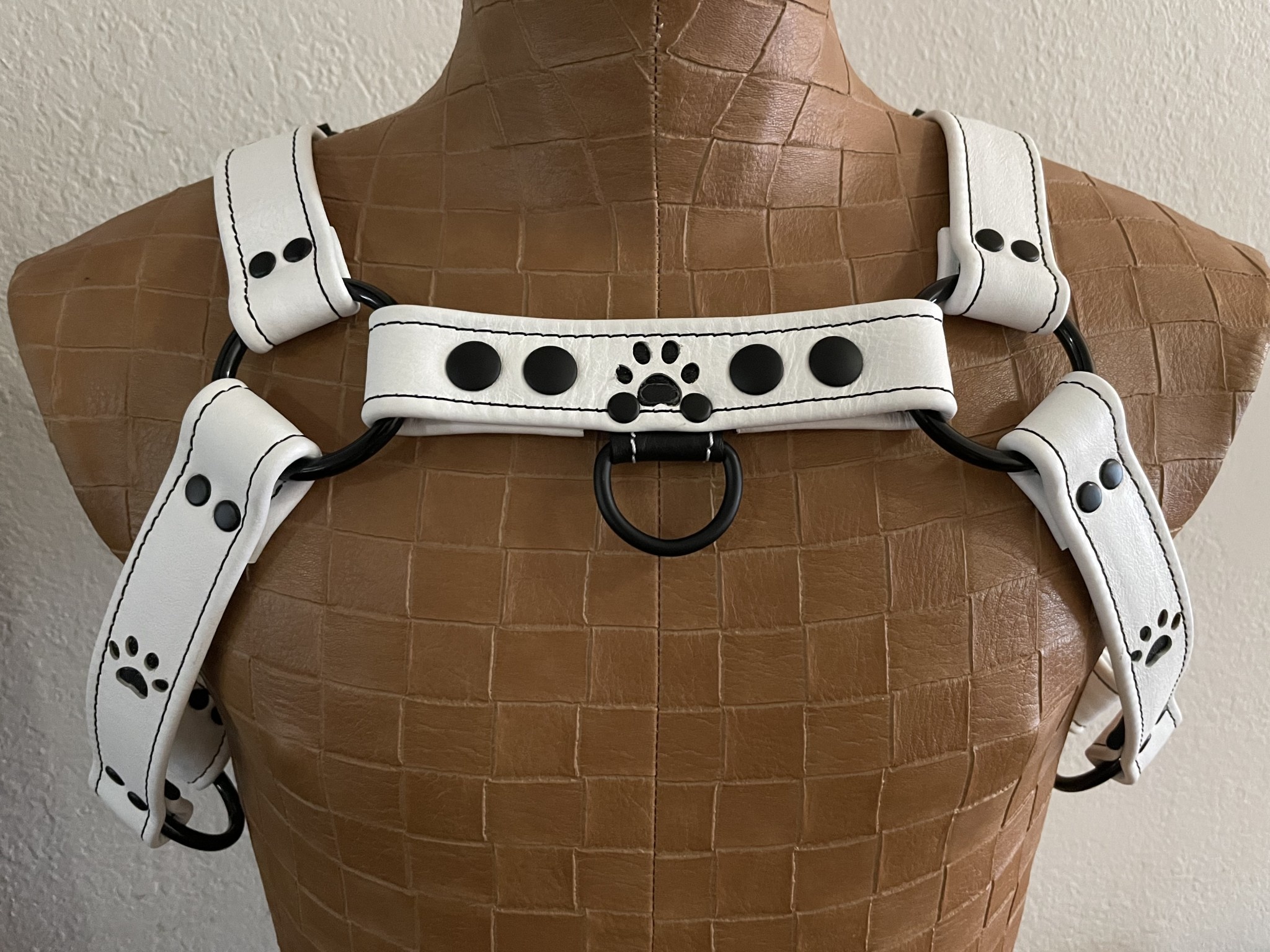Custom Leather Harness - Neesh LLC