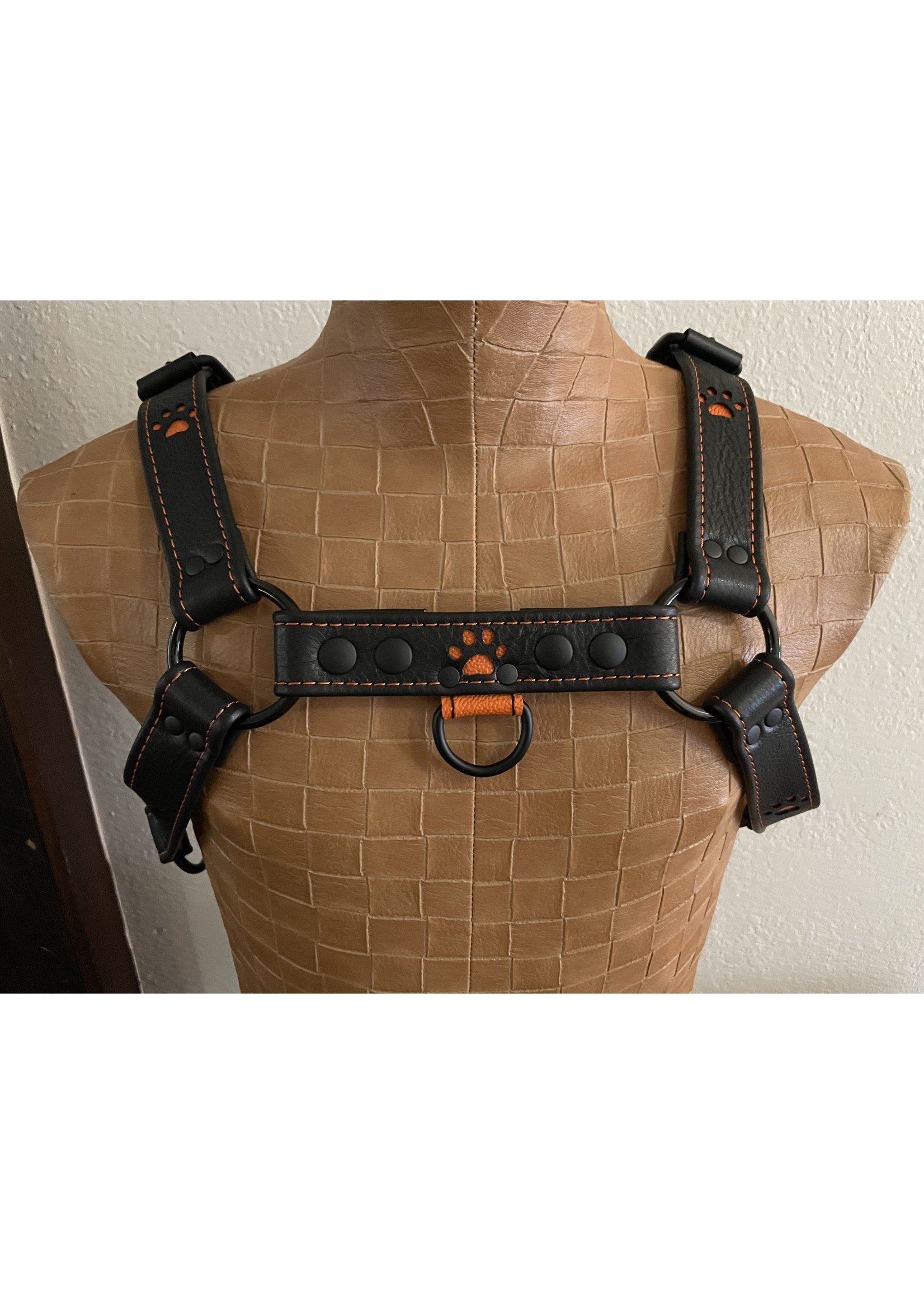 Custom Leather Harness - Neesh LLC