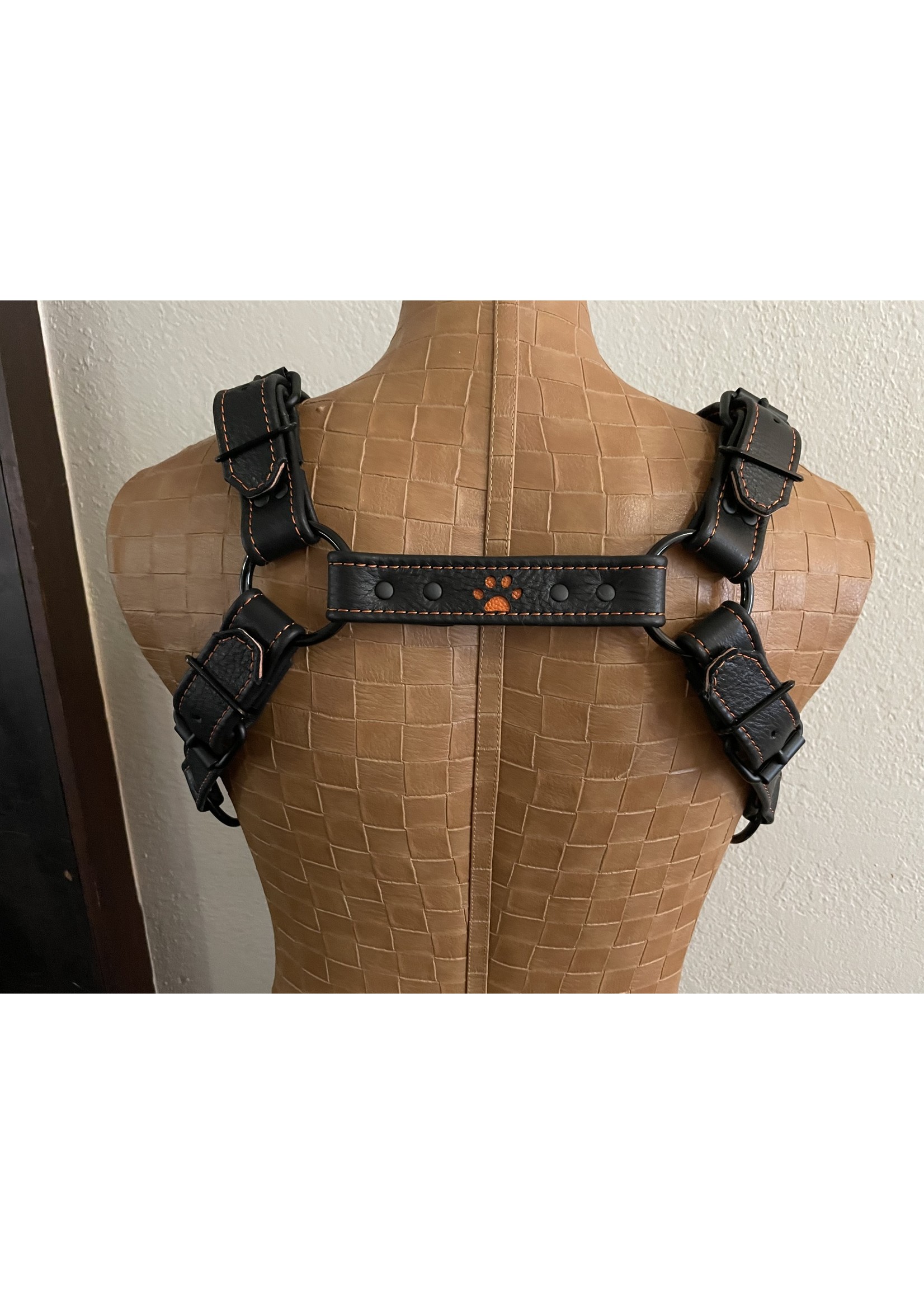 Custom Leather Harness - Neesh LLC
