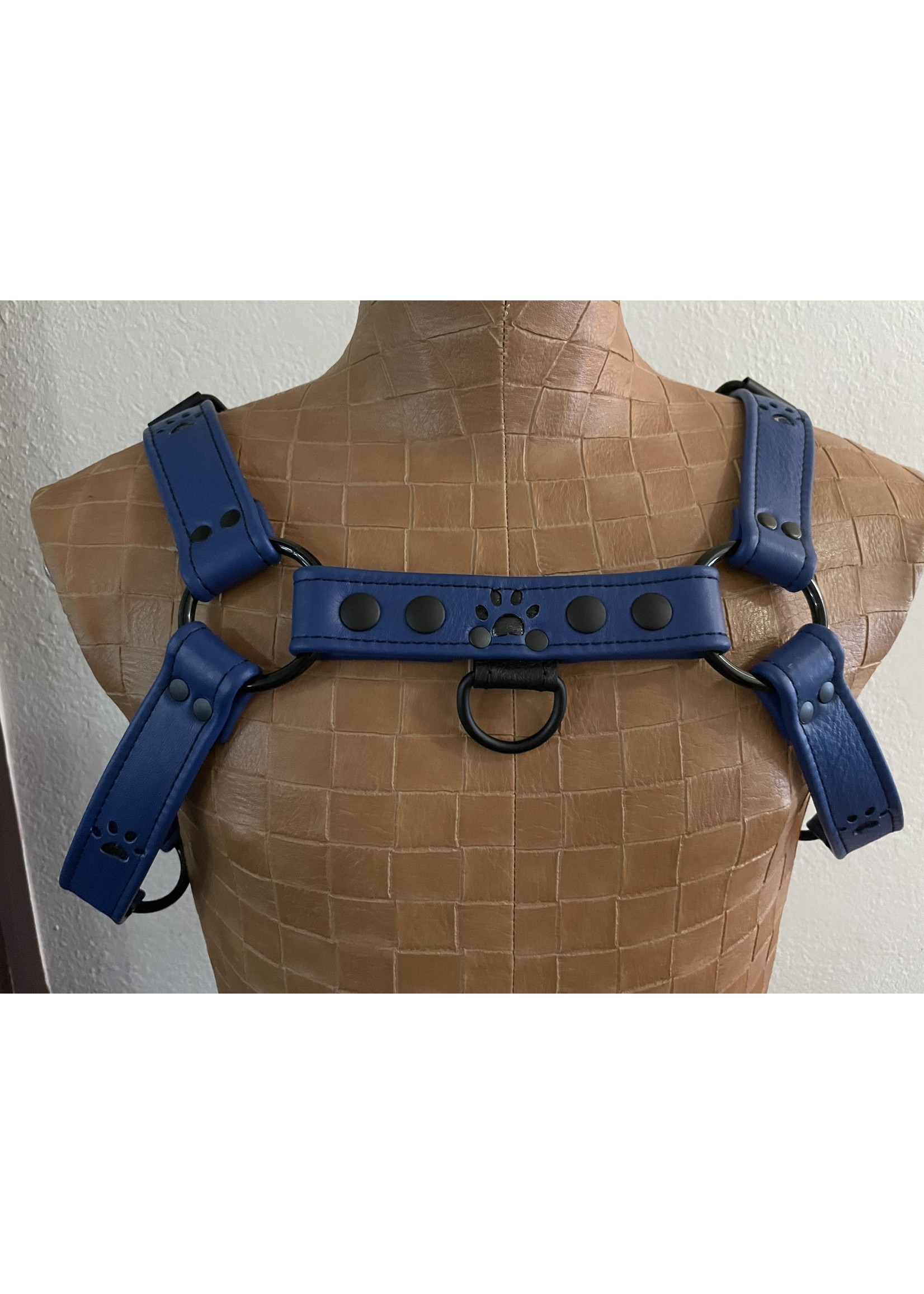 Custom Leather Harness - Neesh LLC