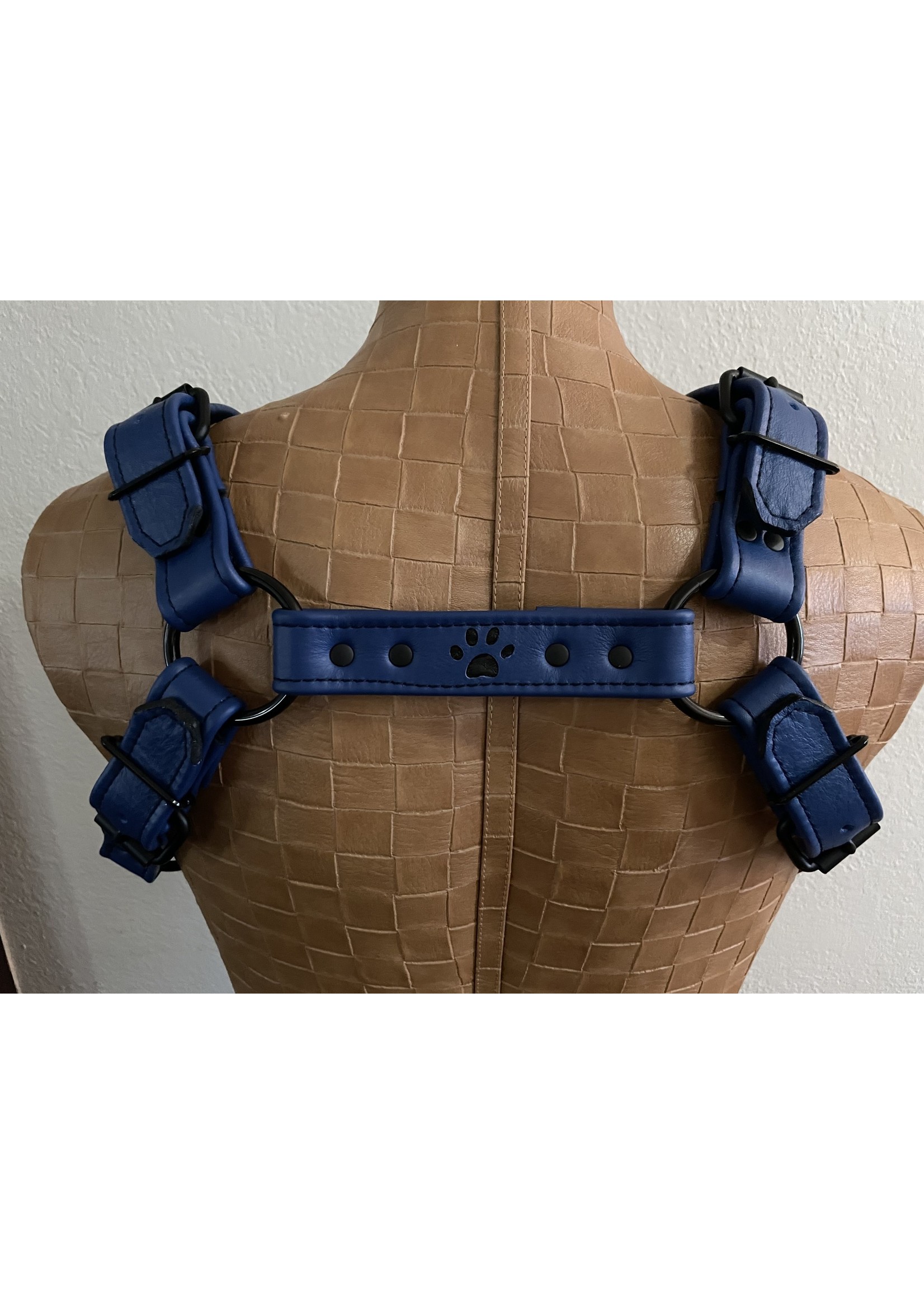 Custom Leather Harness - Neesh LLC