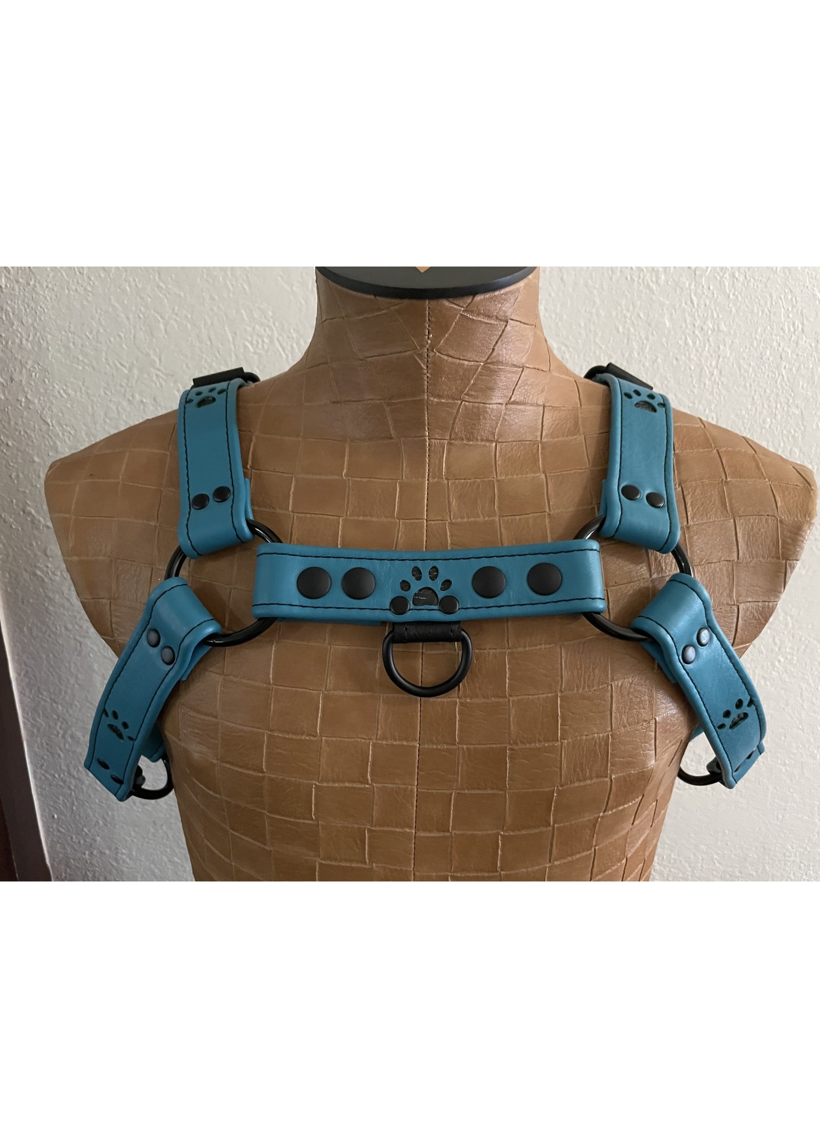 Custom Leather Harness - Neesh LLC